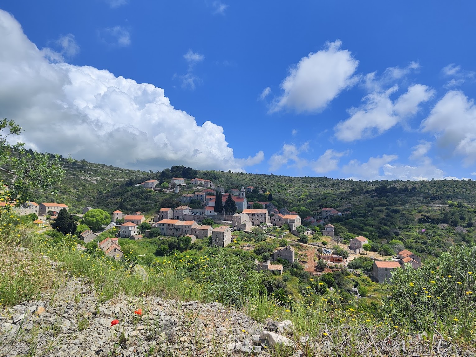 Bartul iz Velog Grablja | Turizam.media